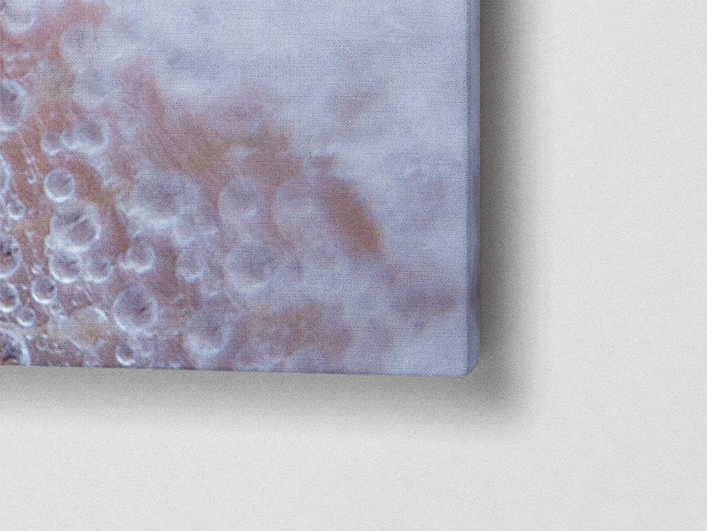 Obraz kapky rosy na pampelišce Rozměr: 120 x 60 cm