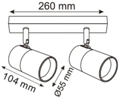 Zuma Line 2204BD-2-BK - Bodové svítidlo FORI 2xGU10/50W/230V černá/zlatá