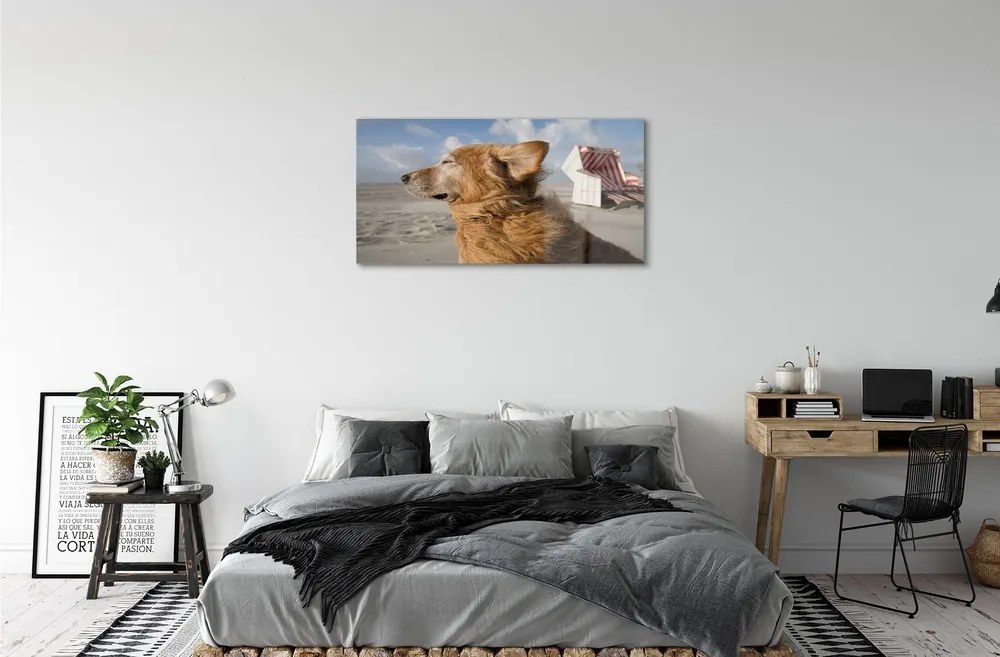 Obraz na skle Hnědý pes beach 125x50 cm