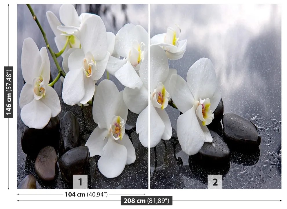 Fototapeta Orchidejové kameny 104x70