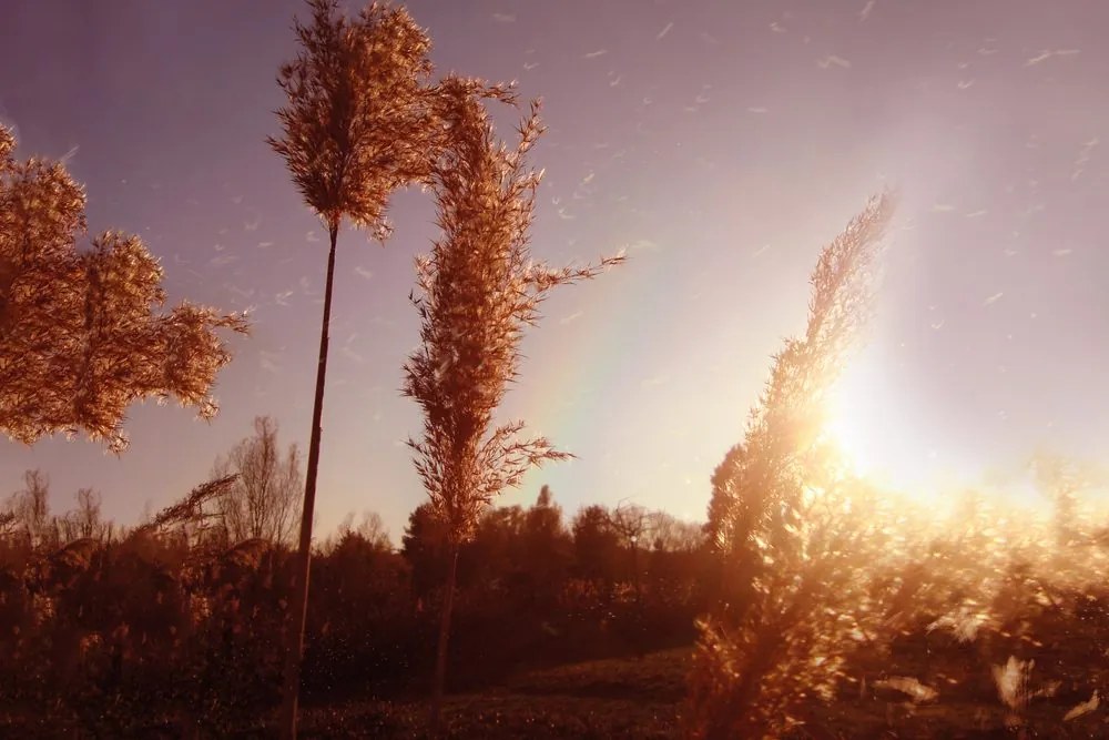 Samolepící tapeta atmosféra podzimu