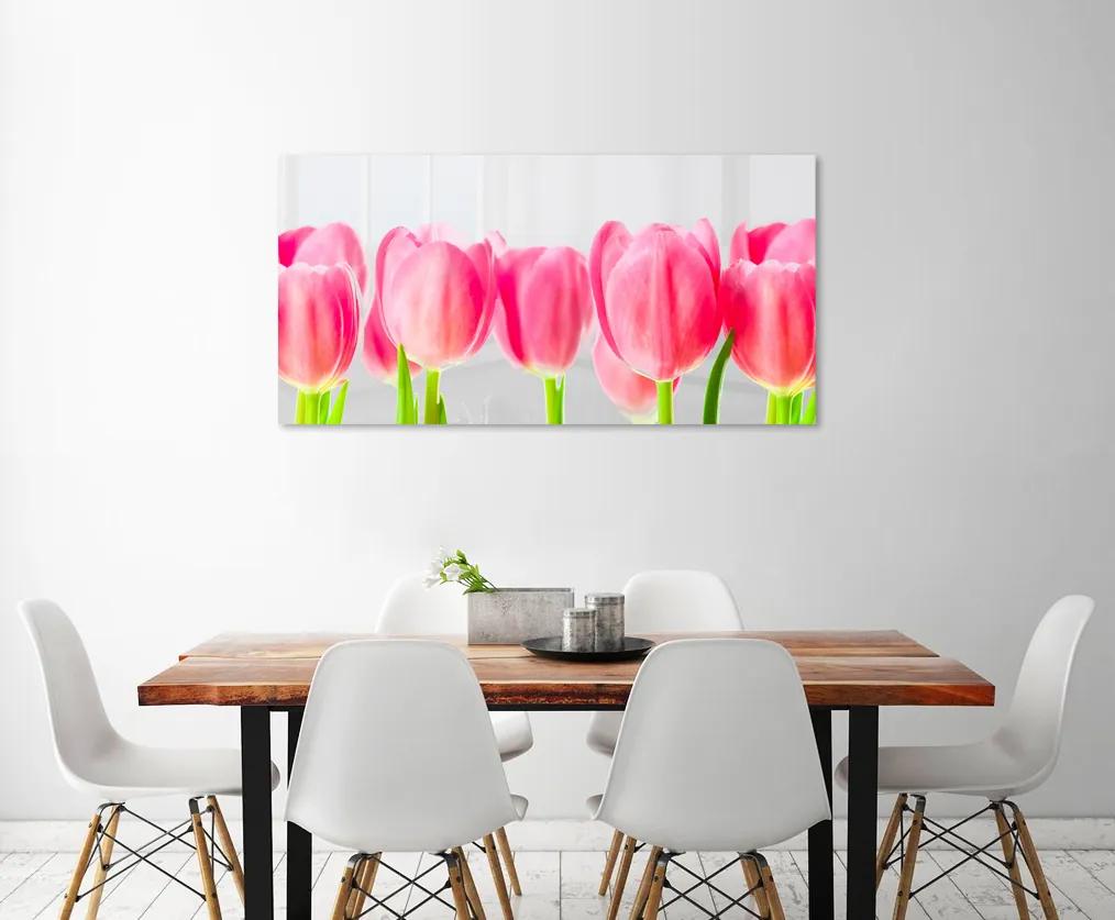 Obraz Růžové Tulipány na zrcadle Mirrora 44 - 50x100 cm