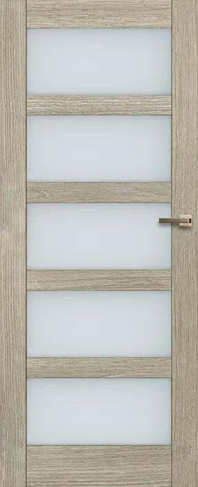 Interiérové dveře vasco doors BRAGA model 6 Průchozí rozměr: 70 x 197 cm, Orientace dveří: Levé dveře, Dekor: Dub stříbrný