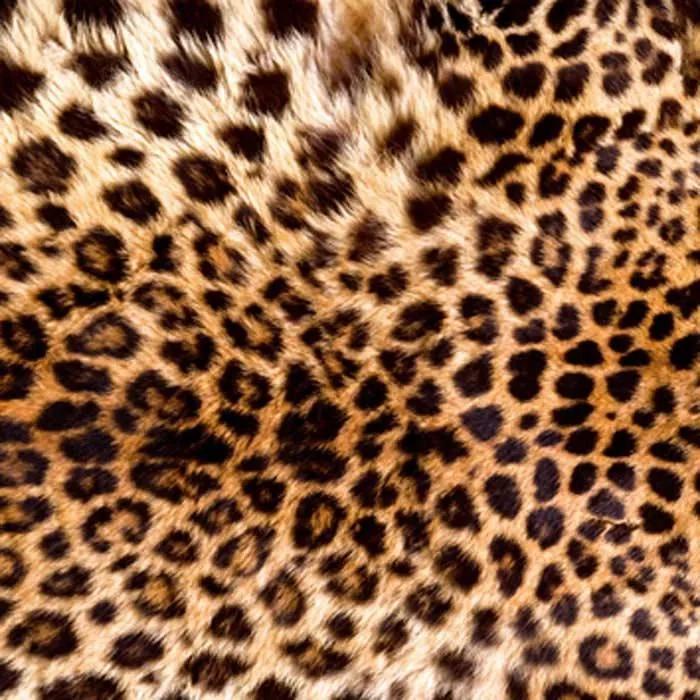Třídílná vliesová fototapeta Leopardí kůže, rozměr 225x250cm, MS-3-0184