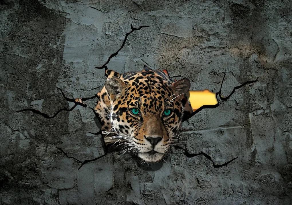 Fototapeta - Jaguar za cementovou zdí (254x184 cm)