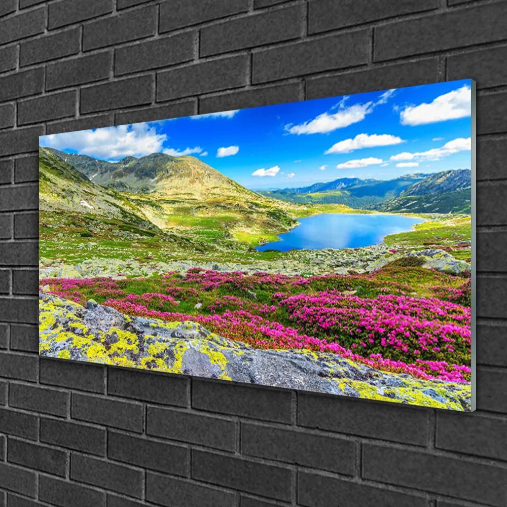 Obraz na skle Hora Záliv Louka Příroda 100x50 cm