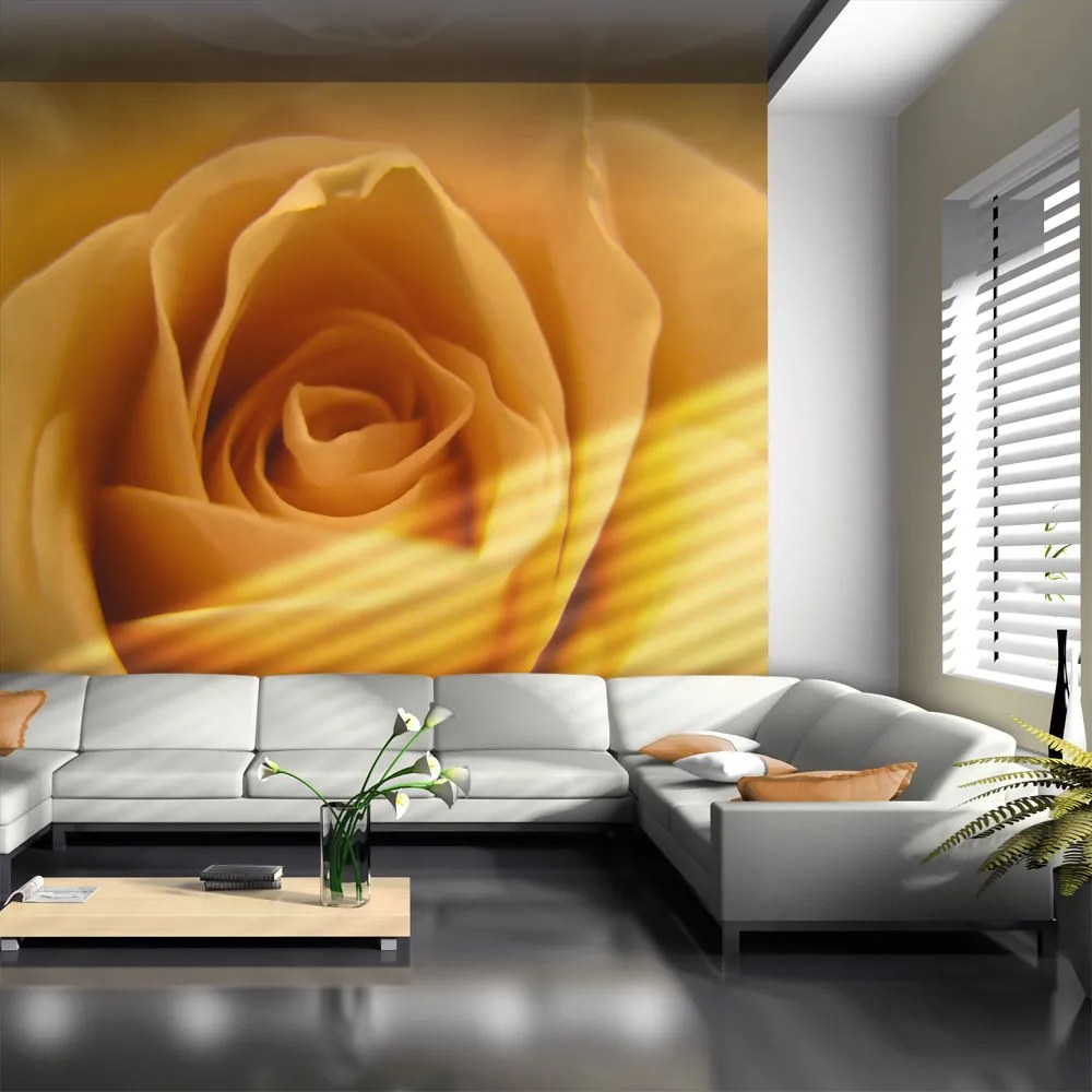 Fototapeta Bimago - Yellow rose – a symbol of friendship + lepidlo zdarma 200x154 cm