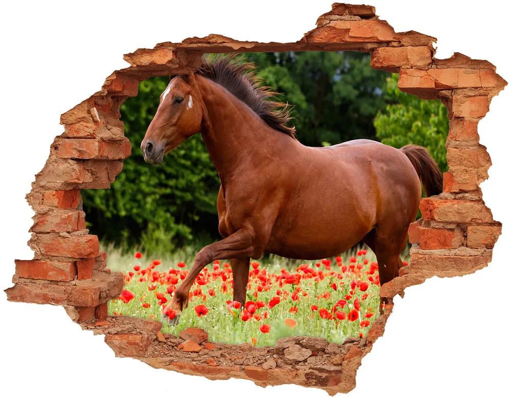 Wallmuralia Díra 3D fototapeta nálepka Kůň na poli máků 90x70 cm