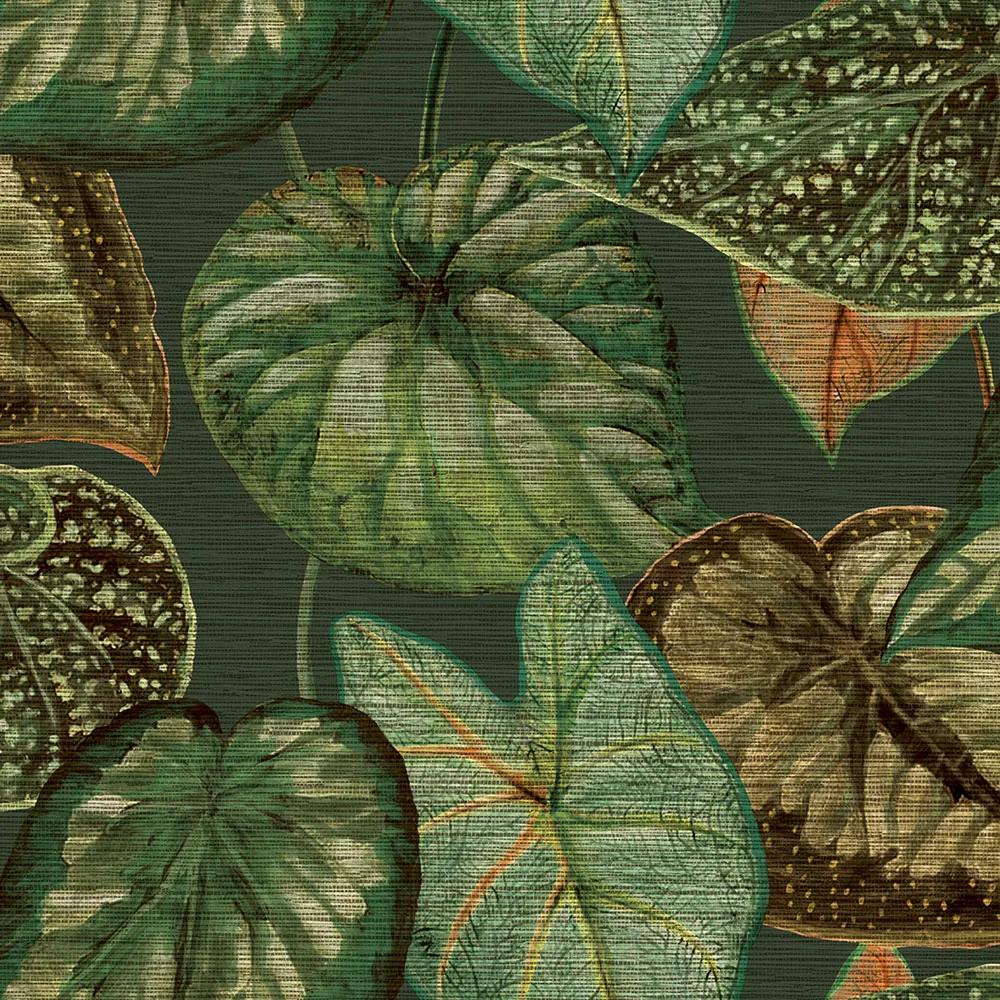 Strukturovaná vliesová tapeta, zelené listy TA25054 Tahiti, Decoprint