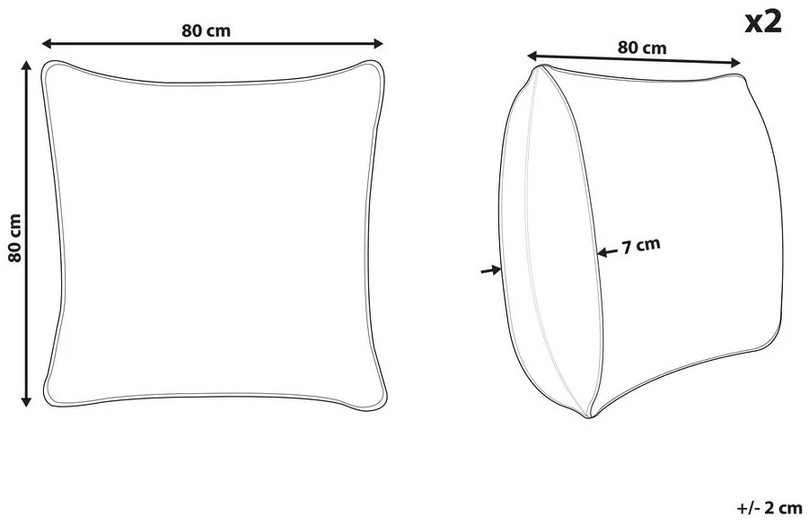 Sada 2 polštářů z mikrovlákna 80 x 80 cm PELISTER Beliani