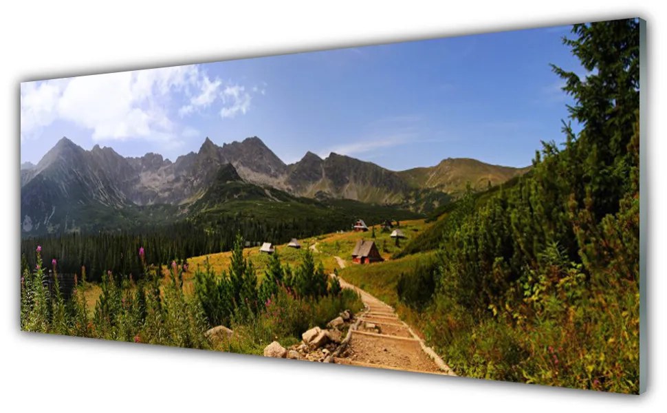 Plexisklo-obraz Hala Góry Droga Natura Łąka 125x50 cm