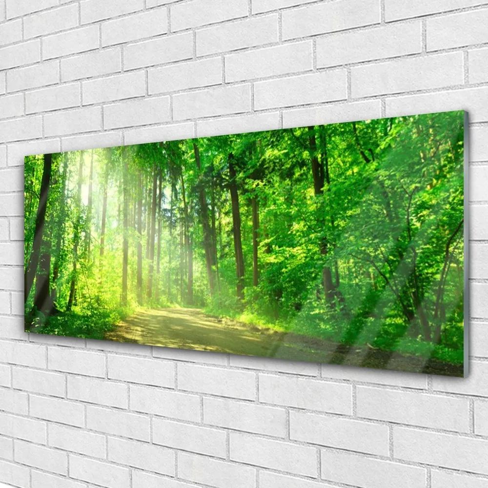akrylový obraz Les Cestička Stromy Příroda 125x50 cm