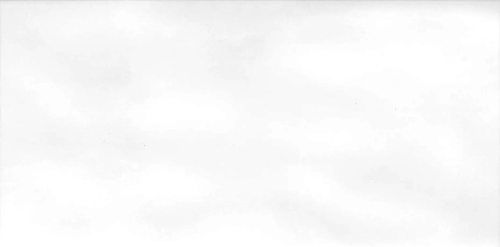 RAKO System - Obklad 29,8x59,8 cm, bílá matná WARVK104