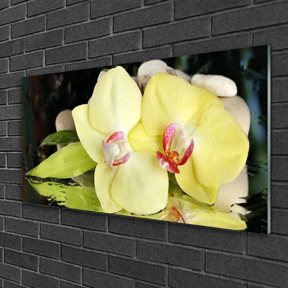 Obraz na skle Okvětní Plátky Orchidej 120x60 cm