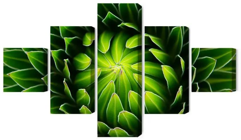 Vícedílný obraz Zelená Rostlina V Makro Měřítku Nedostatek Nedostatek Plátno Canvas 250x150