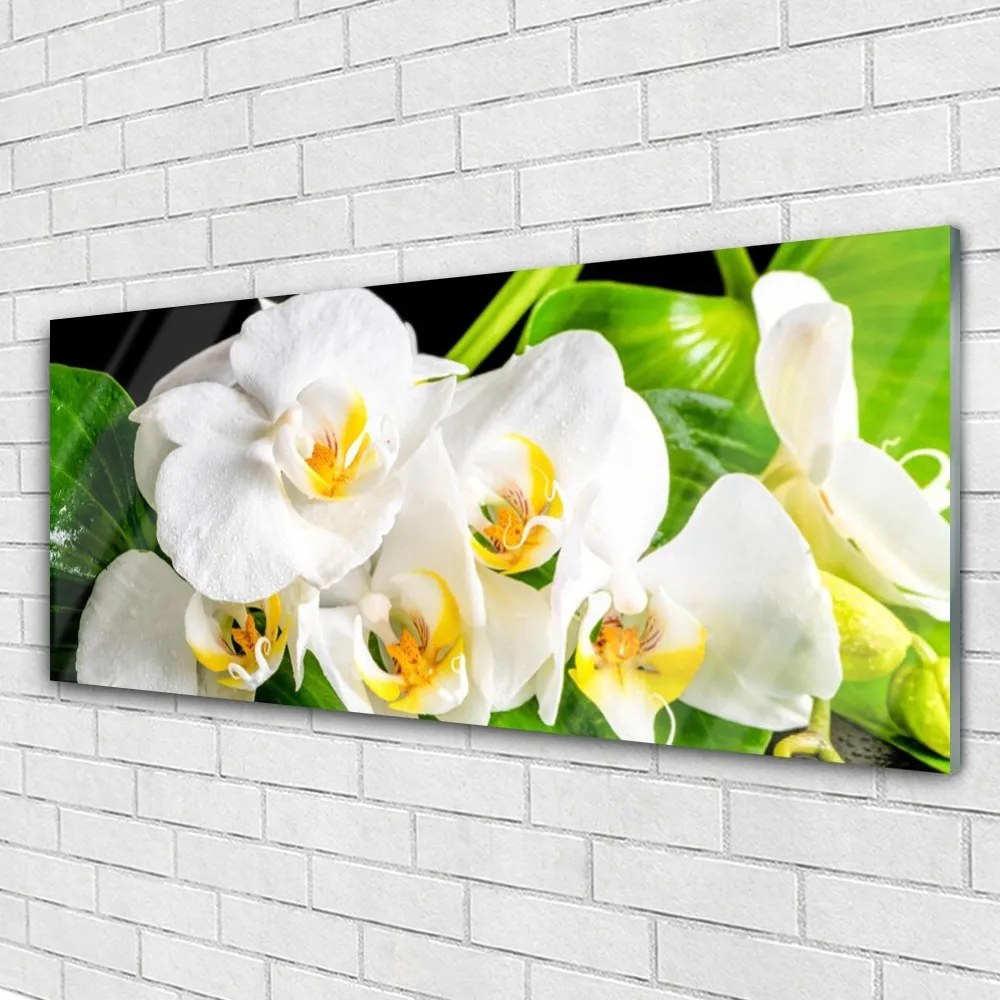 Plexisklo-obraz Orchidej Květiny Příroda 125x50 cm