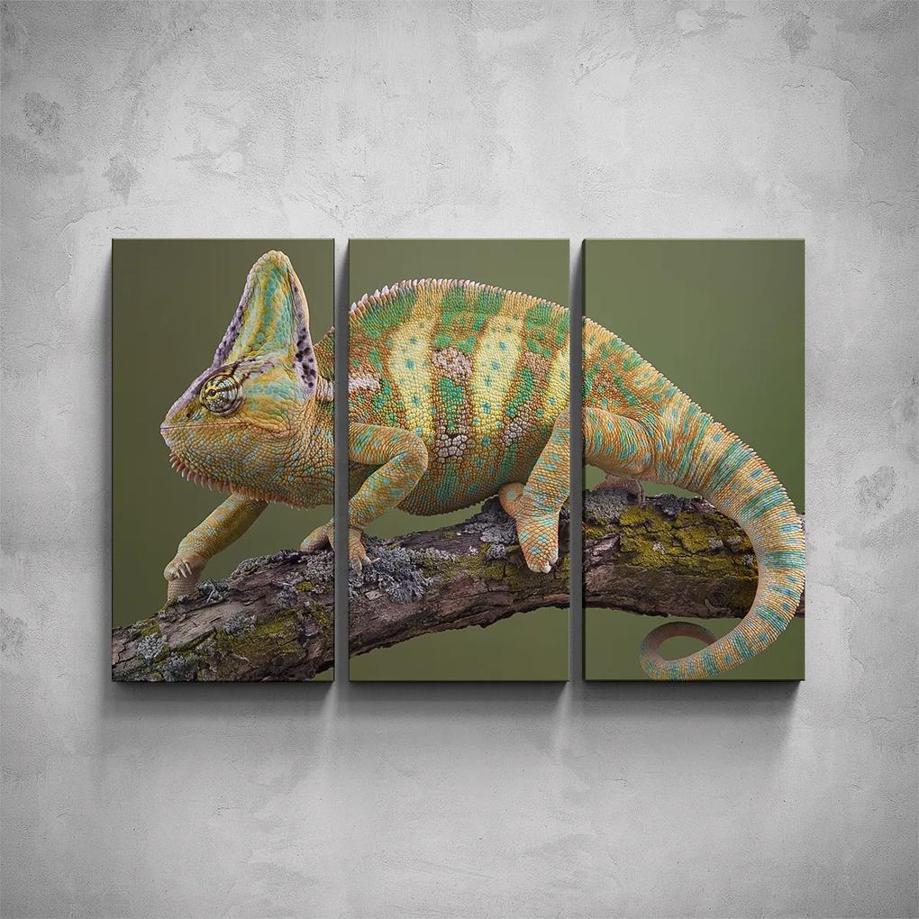 3-dílný obraz - Chameleon - PopyDesign