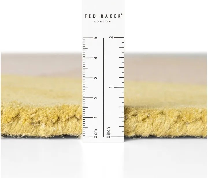 Ručně tkaný vlněný kulatý koberec ø 160 cm Westminster Piccadilly – Ted Baker