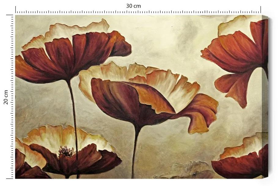 Obraz Krásné Mák Květiny Vintage Nedostatek Nedostatek Přírodní plátno 120x80