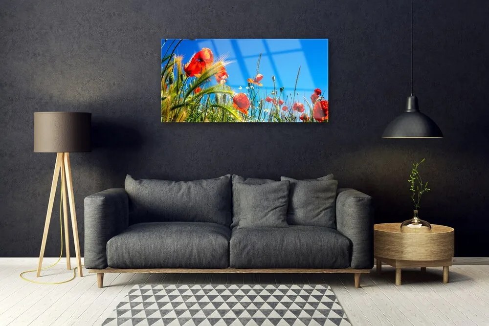 Plexisklo-obraz Květiny Máky Pole Trávy 100x50 cm