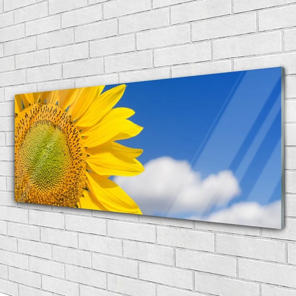 akrylový obraz Slunečnice Mraky 125x50 cm