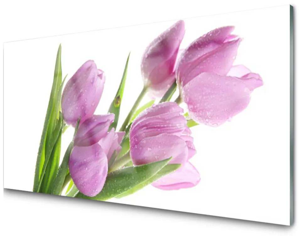 Skleněný obraz Tulipány Květiny Rostlina