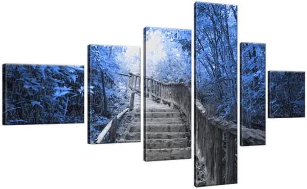 Obraz na plátně Schody v modrém lese 180x100cm 2571A_6E