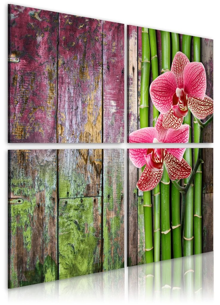 Obraz - Bambus a orchidea - 40x40