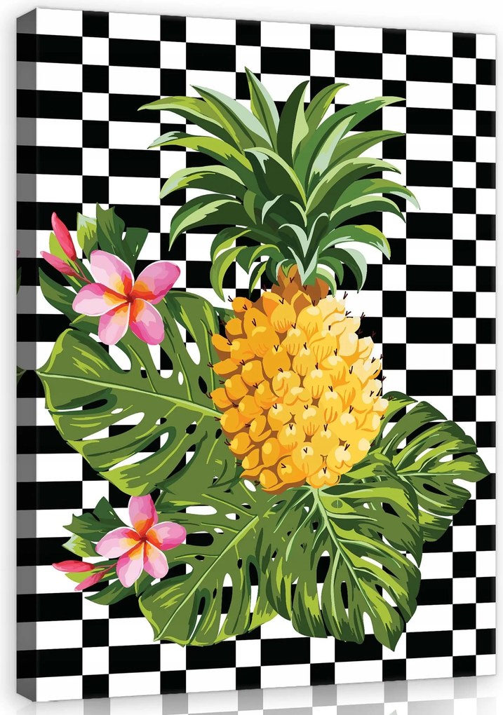 Obraz 75x100 Ananas Tropiky Plumeria Květiny Listy Monstera žlutý růžový