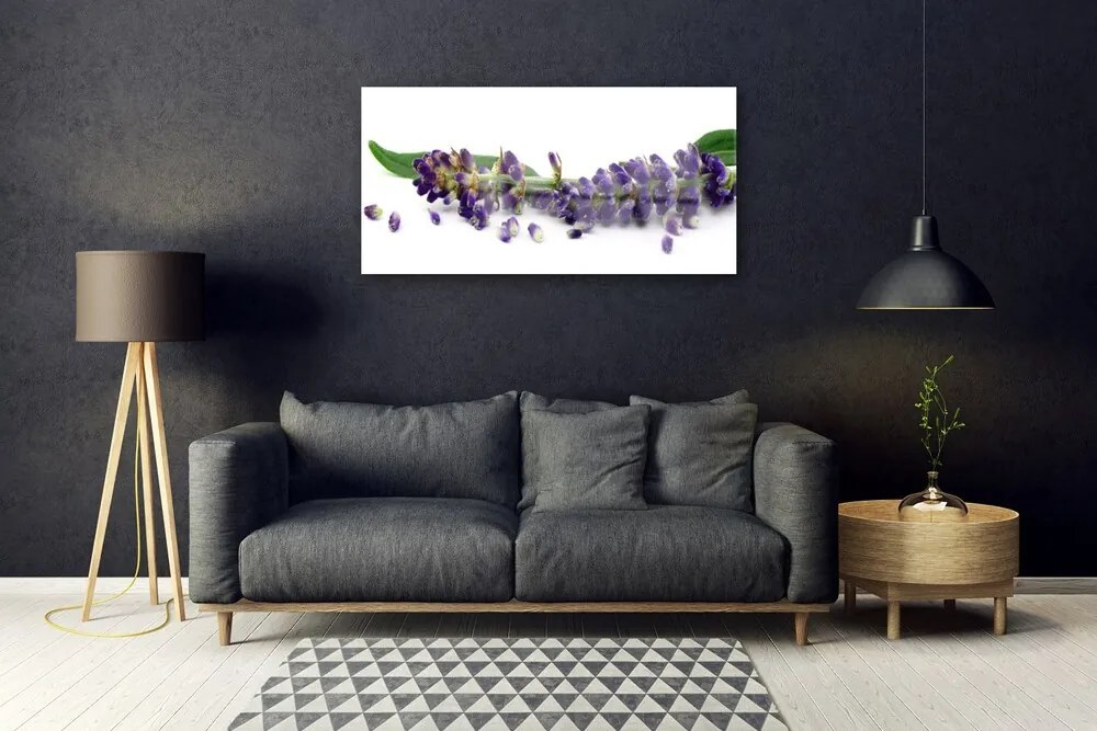 Plexisklo-obraz Levandule Mrtvá Příroda 100x50 cm