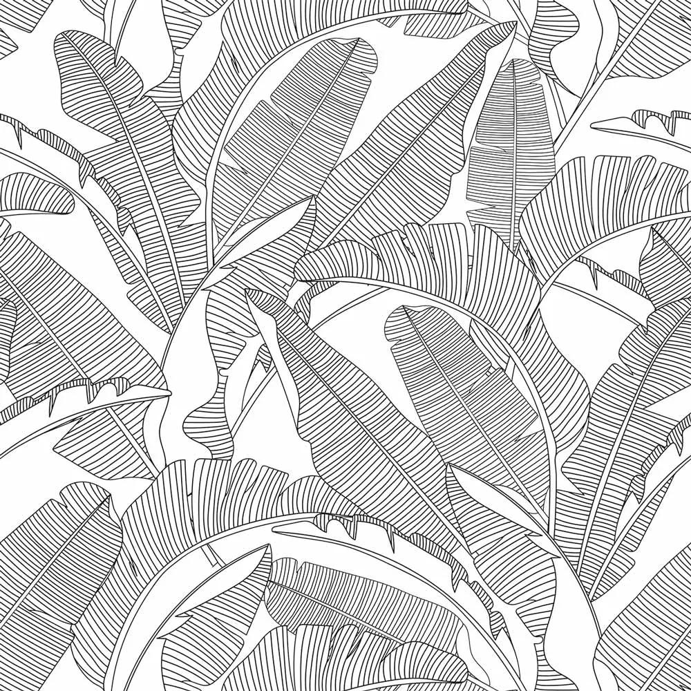 Tapeta velké palmové listy černo bílá 280×100cm