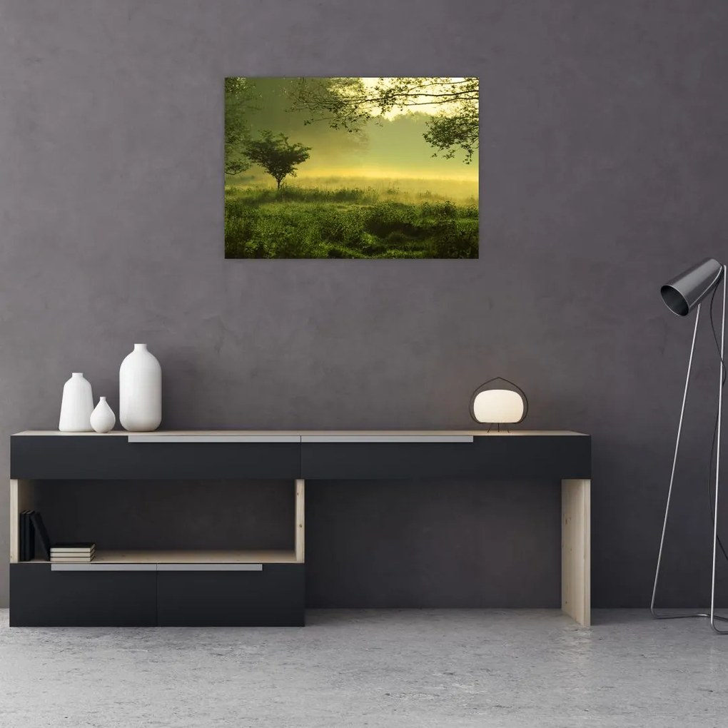 Skleněný obraz - Probouzející se les (70x50 cm)