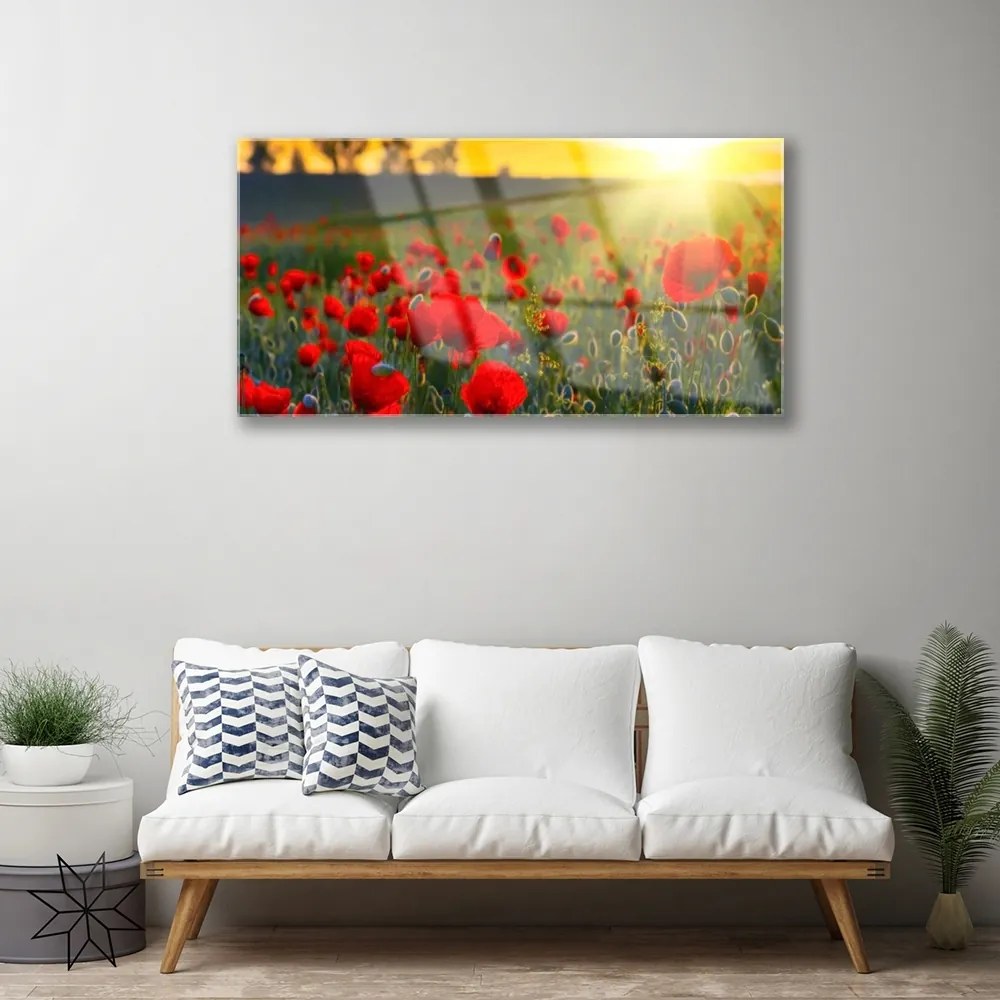 Obraz na skle Louka Máky Rostlina Příroda 125x50 cm