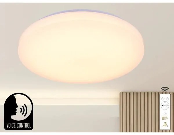 LED Stmívatelné stropní svítidlo s hlasovým ovládáním OPAL LED/48W/230V + DO