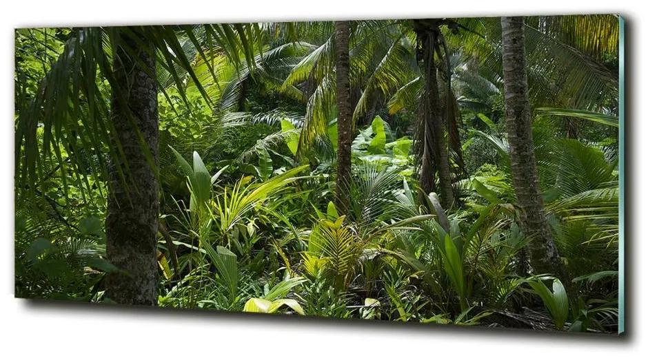 Wallmuralia Fotoobraz na skle Tropický les 125x50 cm