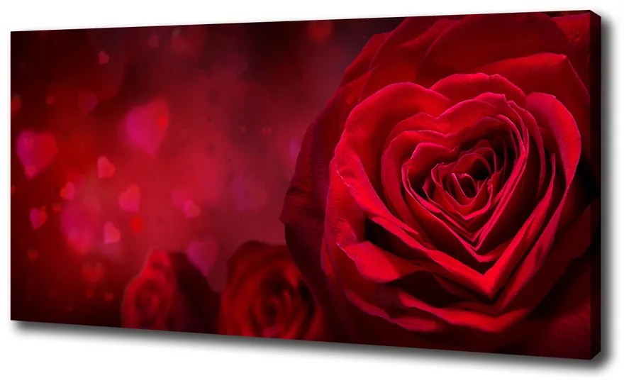 Wallmuralia Foto obraz na plátně Červená růže srdce 100x50 cm