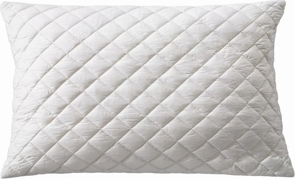 XXXLutz POLŠTÁŘ POD HLAVU, 40/80 cm Billerbeck - Polštáře pod hlavu - 003279016801