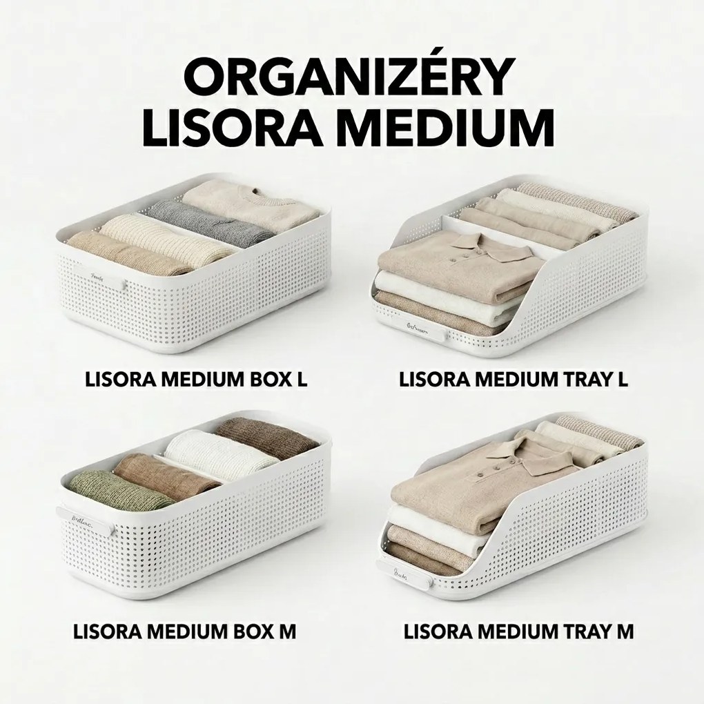Rotho Úložný box do skříně, šatní organizér LISORA ot. př. hrana M - 48,2 × 21 × 15 cm