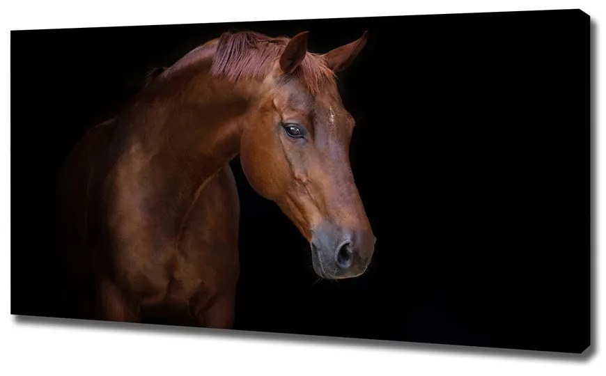 Wallmuralia Foto obraz na plátně do obýváku Hnědý kůň 120x60 cm
