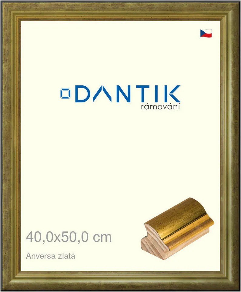 DANTIK rámeček 40x50 | ANIVERSA zlatá (Sklo Čiré)