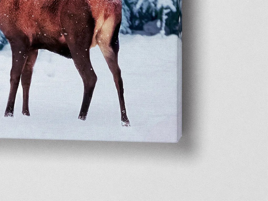 Liox Obraz jelen v zimě Rozměr: 150 x 100 cm