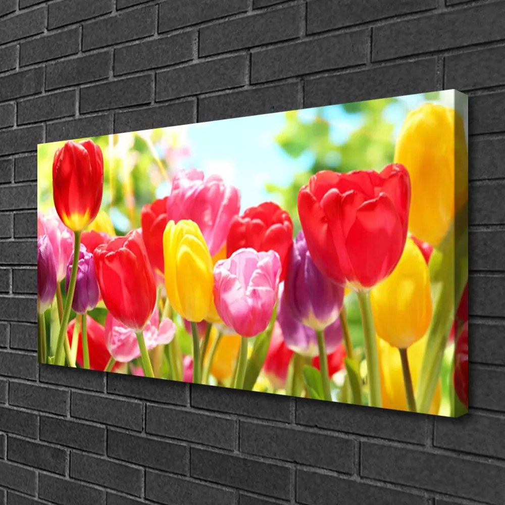 Obraz na plátně Tulipány Květiny Rostlina 100x50 cm