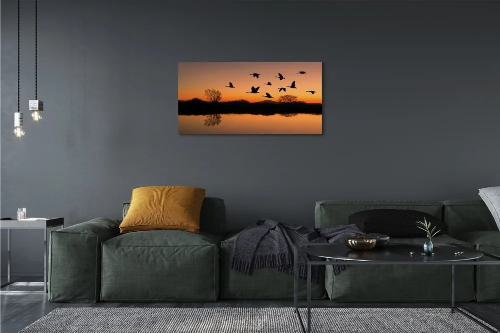 Obrazy na plátně Létající ptáky sunset 120x60 cm