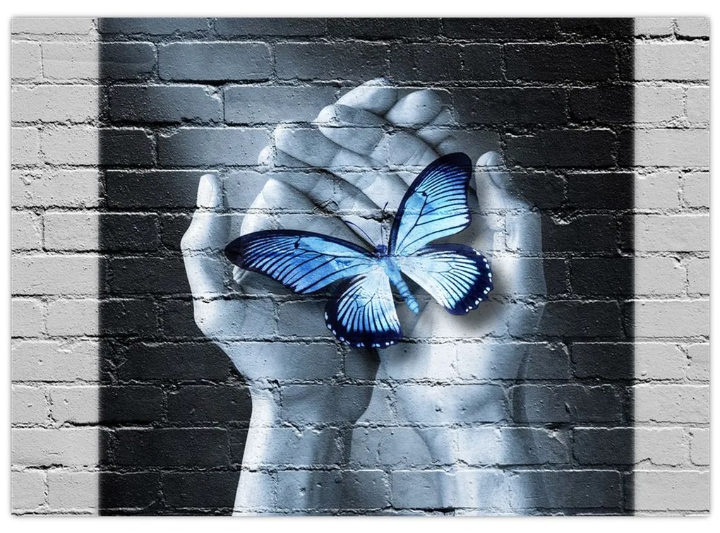 Obraz - Motýl na zdi (70x50 cm)