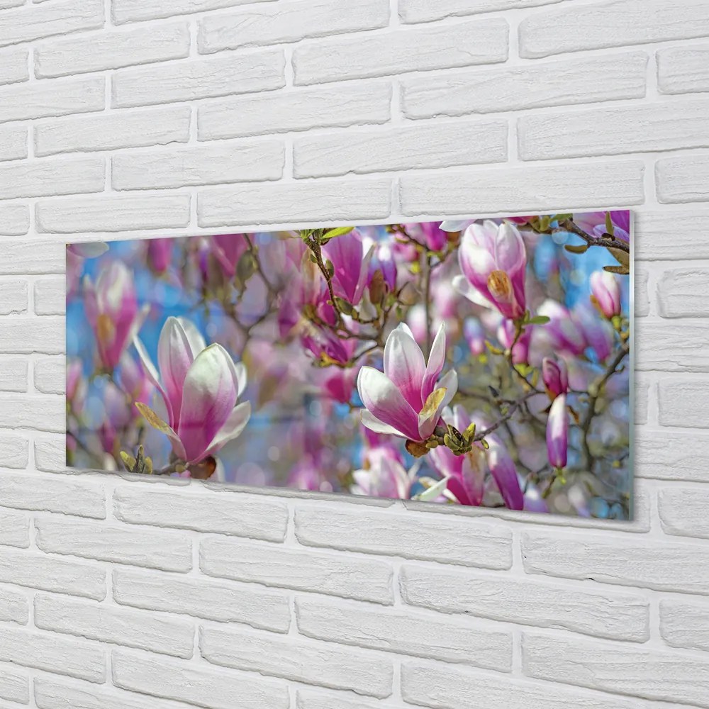 akrylový obraz magnolie strom 120x60 cm