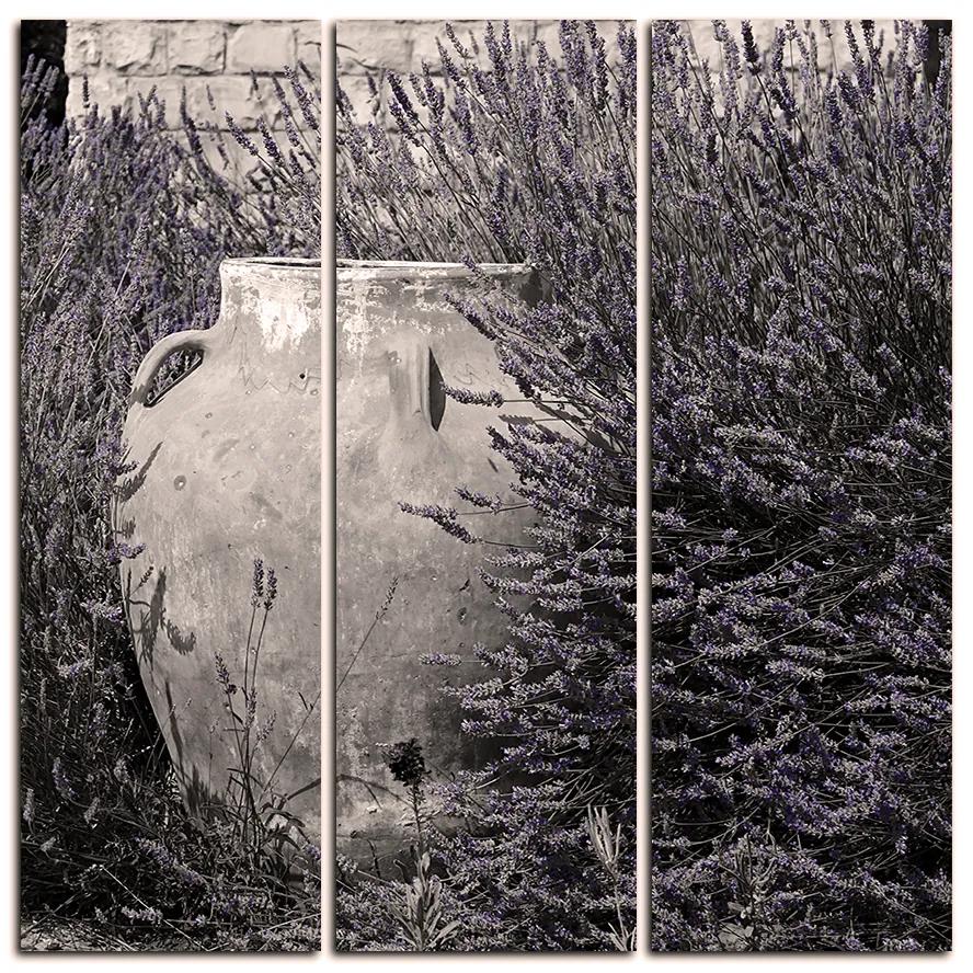 Obraz na plátně - Amfora v levandulovém keři - čtverec 369FB (105x105 cm)