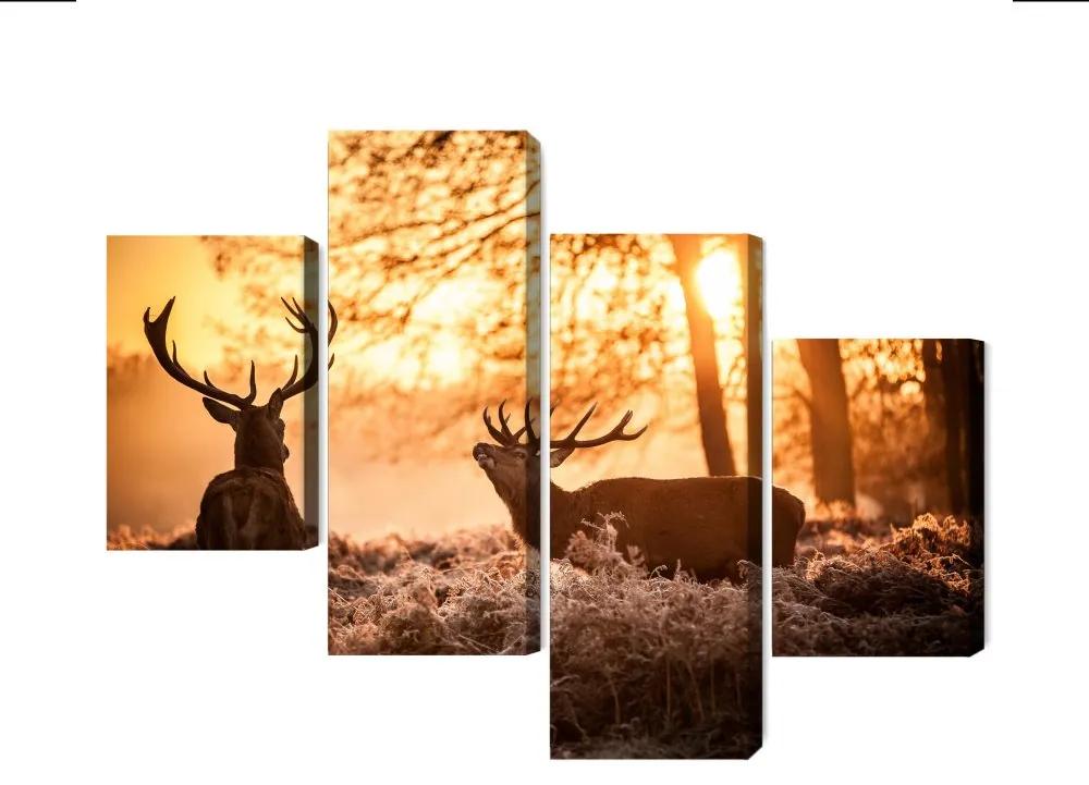 Vícedílný obraz Dva Jeleni V Lese Při Západu Slunce 3D Nedostatek Nedostatek Přírodní plátno 240x150