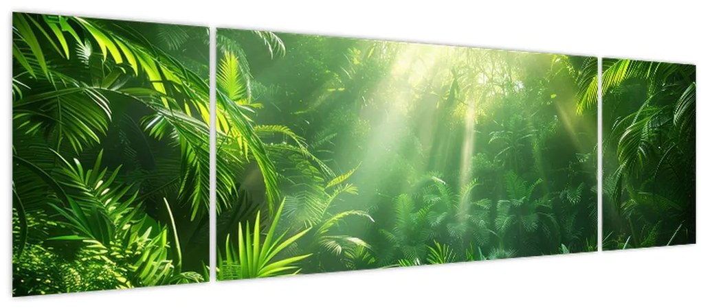 Obraz - Deštný prales (170x50 cm)