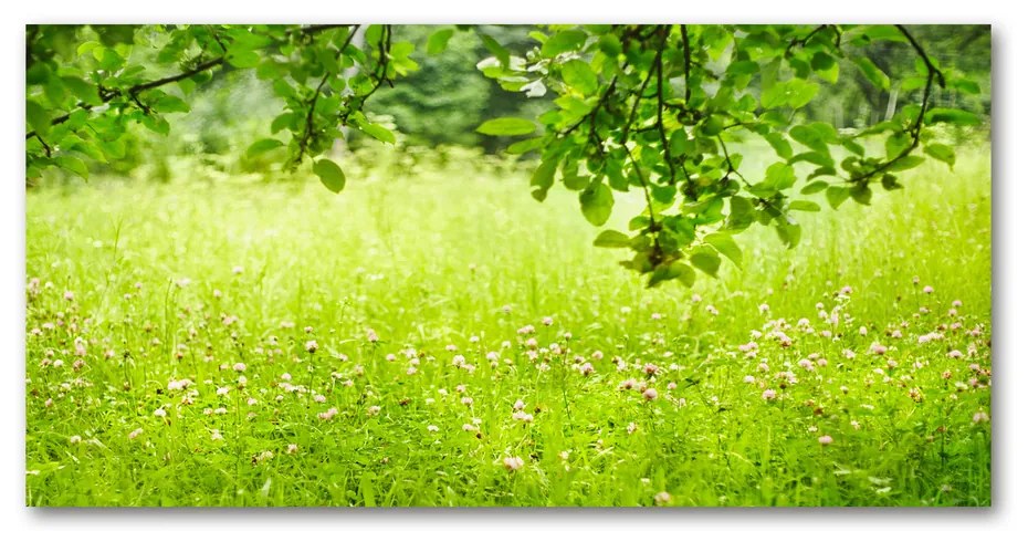 Wallmuralia Fotoobraz na skle zelená louka 100x50 cm
