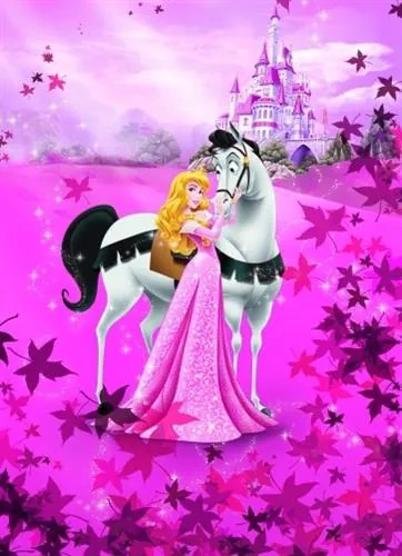 Fototapeta Disney Princezna a bílý kůň rozměr 184 cm x 254 cm